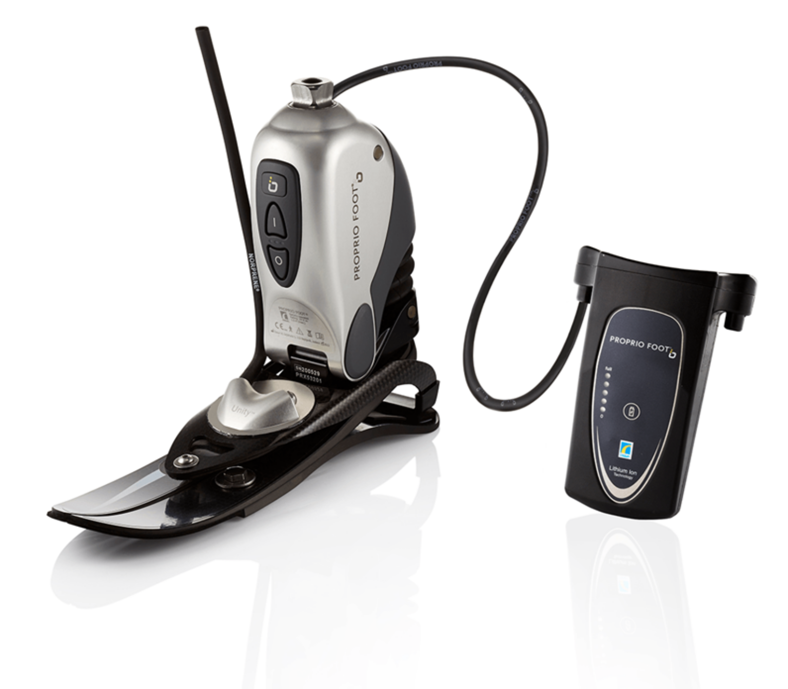 An Introduction to Different Types of Prosthetics for Amputees